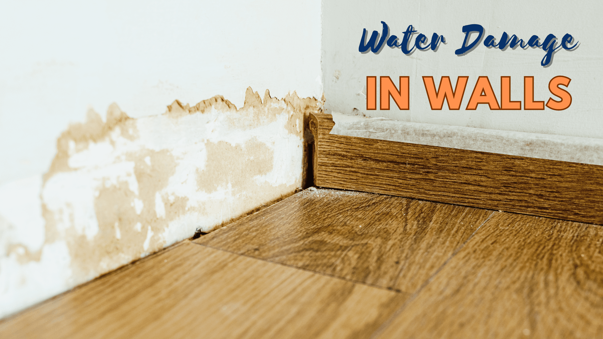 Signs Of Water Damage In Walls: 6 Common Things To Remember