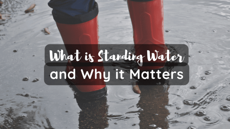 What Is Standing Water And Why It Matters - 6 Key Points
