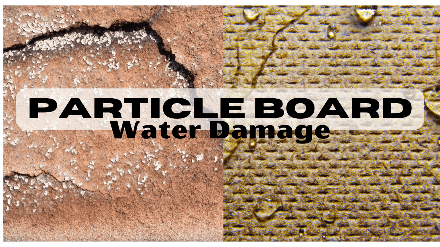 Particle Board Water Damage: A Complete Guide